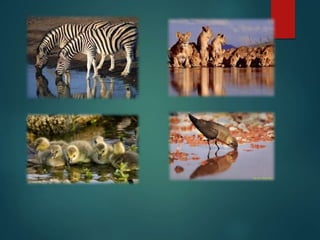 Unit3 lesson 2 | PPT