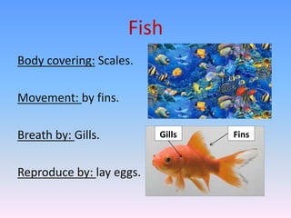 Unit 3 lesson 3 | PPT