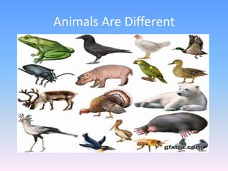 Unit 3 lesson 3 | PPT