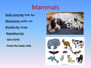 Unit 3 lesson 3 | PPT