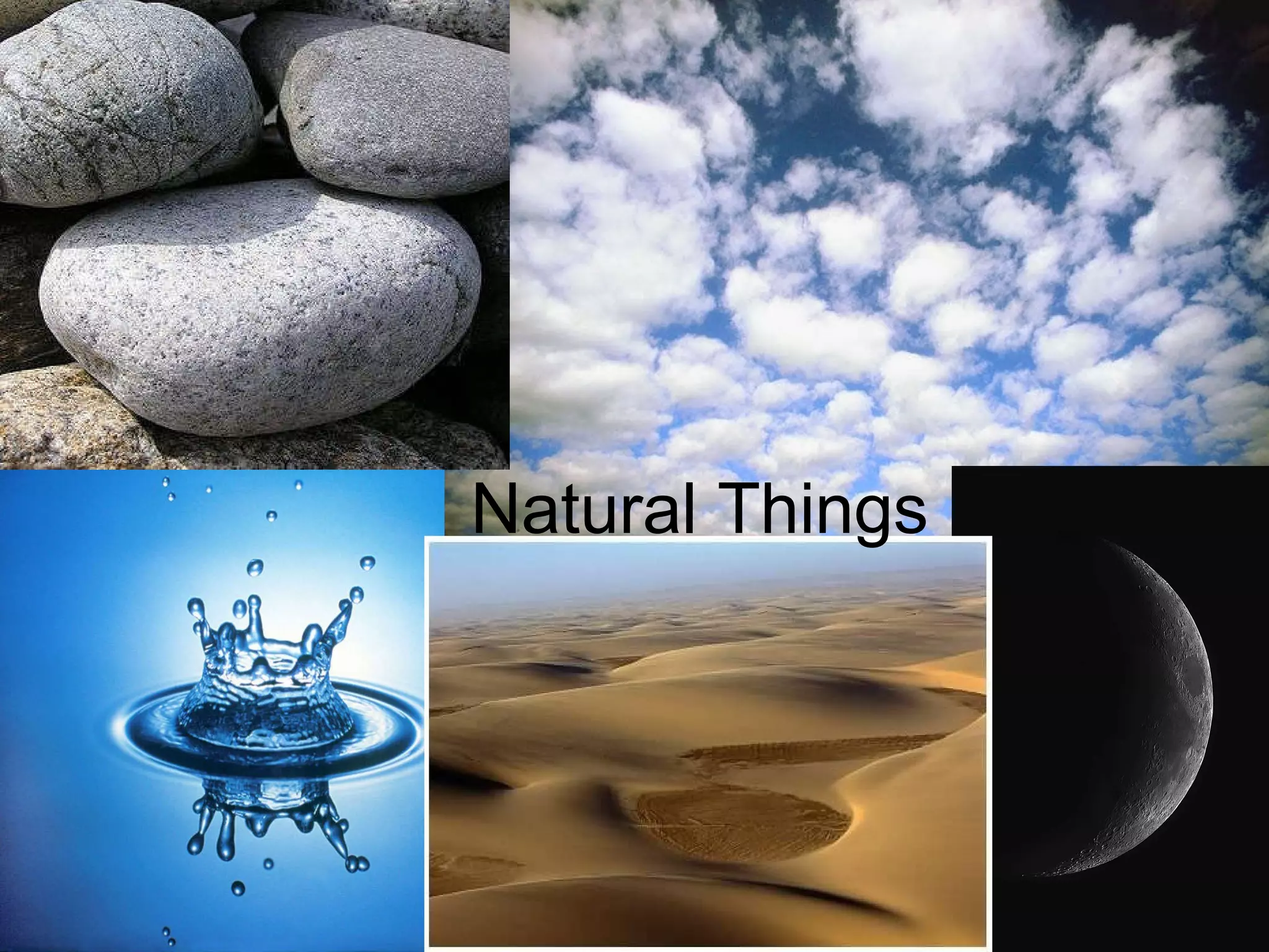 Living & Non Living Things | PPT | Biological Sciences | Science