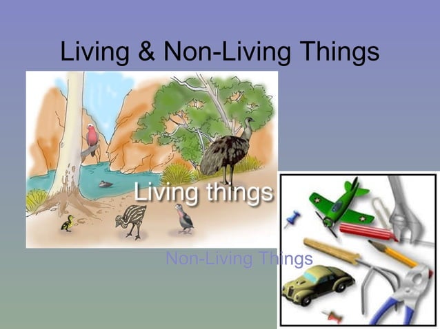 Living & Non Living Things | PPT | Biological Sciences | Science