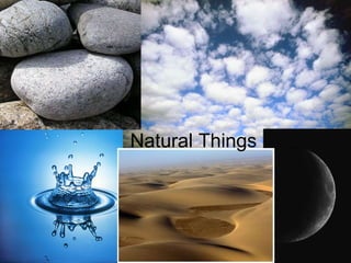 Living & Non Living Things | PPT