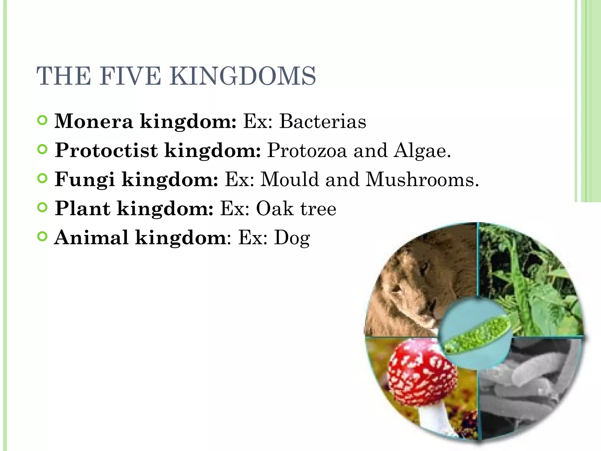 Unit 3 Living things | PPT | Biological Sciences | Science