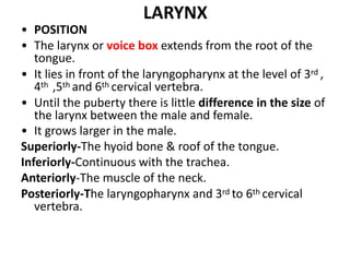 UNIT 3-Respiratory System bpharm semester 2 | PPT