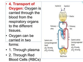 UNIT 3-Respiratory System bpharm semester 2 | PPT