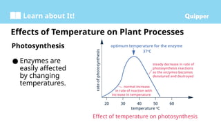 Unit 30 Factors Affecting Plant Growth 2.pptx