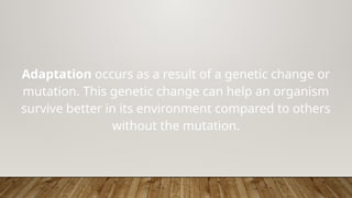 Unit 32 The Origin and Extinction of Species 3.pptx