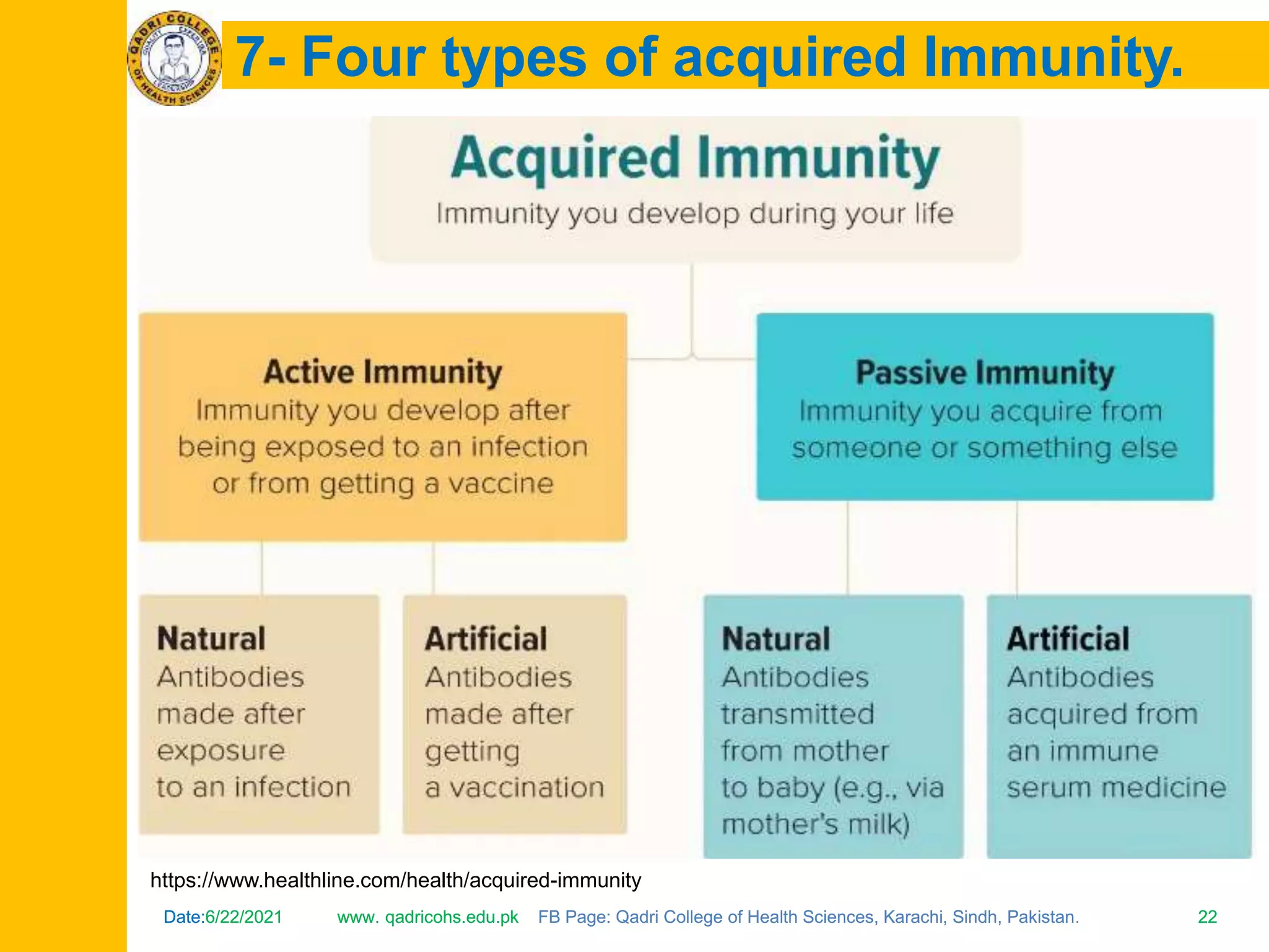 functions of skin, mucous membrane, types of immunity, phagocytosis | PPT
