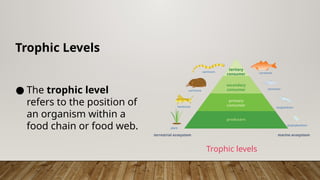 Unit 33 The Principles of the Ecosystem 4.pptx