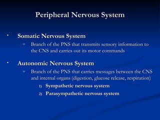 Modules 3 and 4 PowerPoint Slides | PPT
