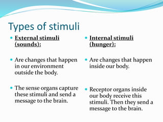 The human body and interaction | PPTX