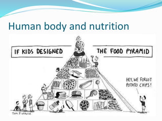 The human body and interaction | PPTX