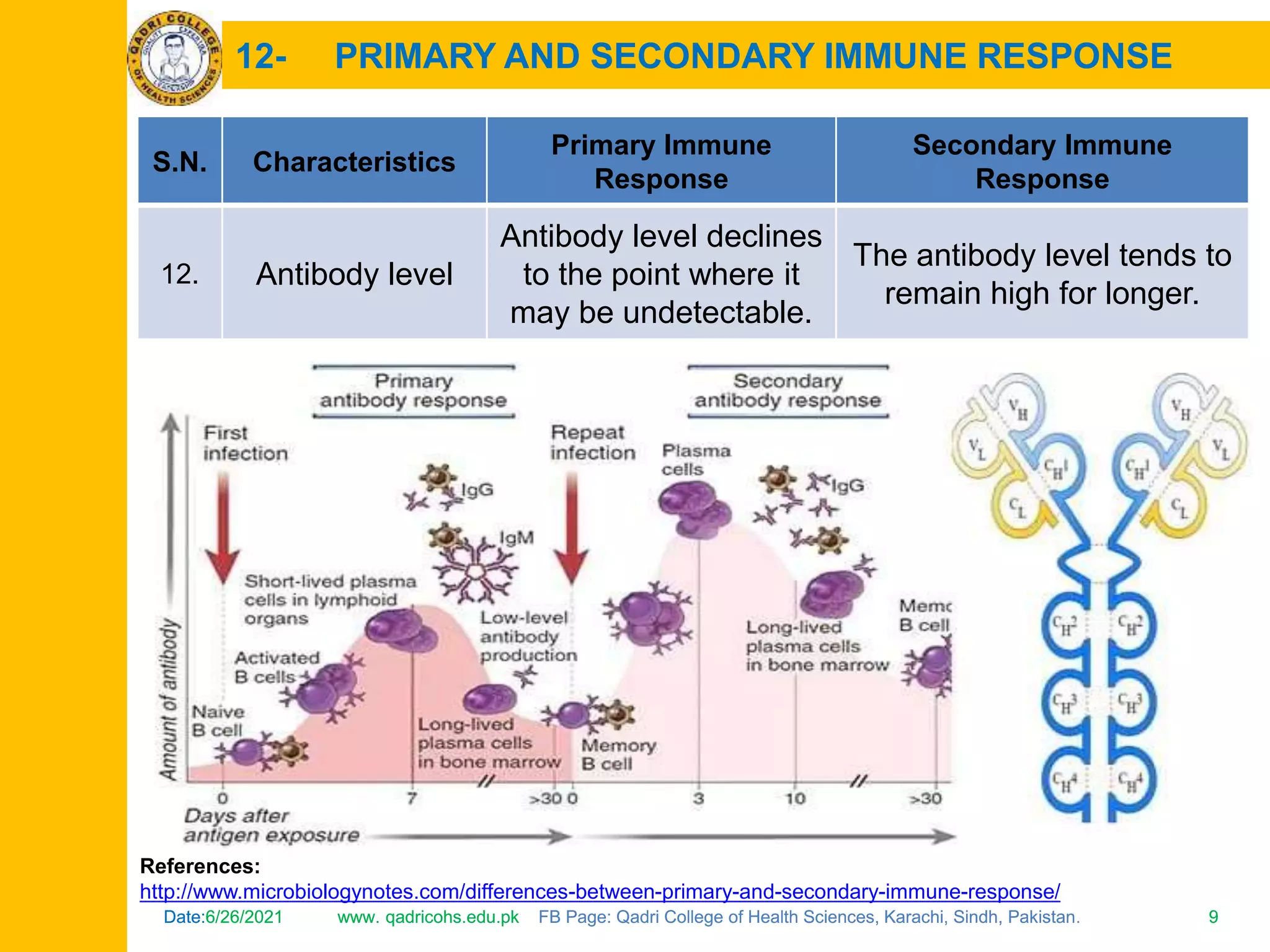 primary and secondary immune response | PPTX
