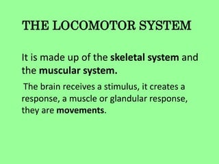 Unit 3 6th: The locomotor system | PPTX | Bone and Joint Conditions ...
