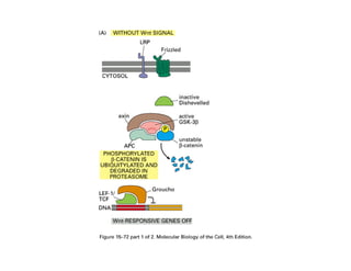 UNIT 3 7 QUESTION.pdf