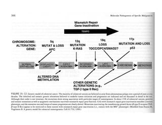 UNIT 3 7 QUESTION.pdf
