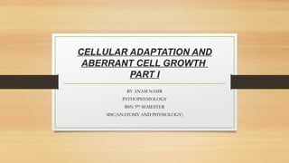 unit 3 a cellular adaptation and aberrant cell growth part 1.pptx