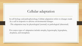 unit 3 a cellular adaptation and aberrant cell growth part 1.pptx