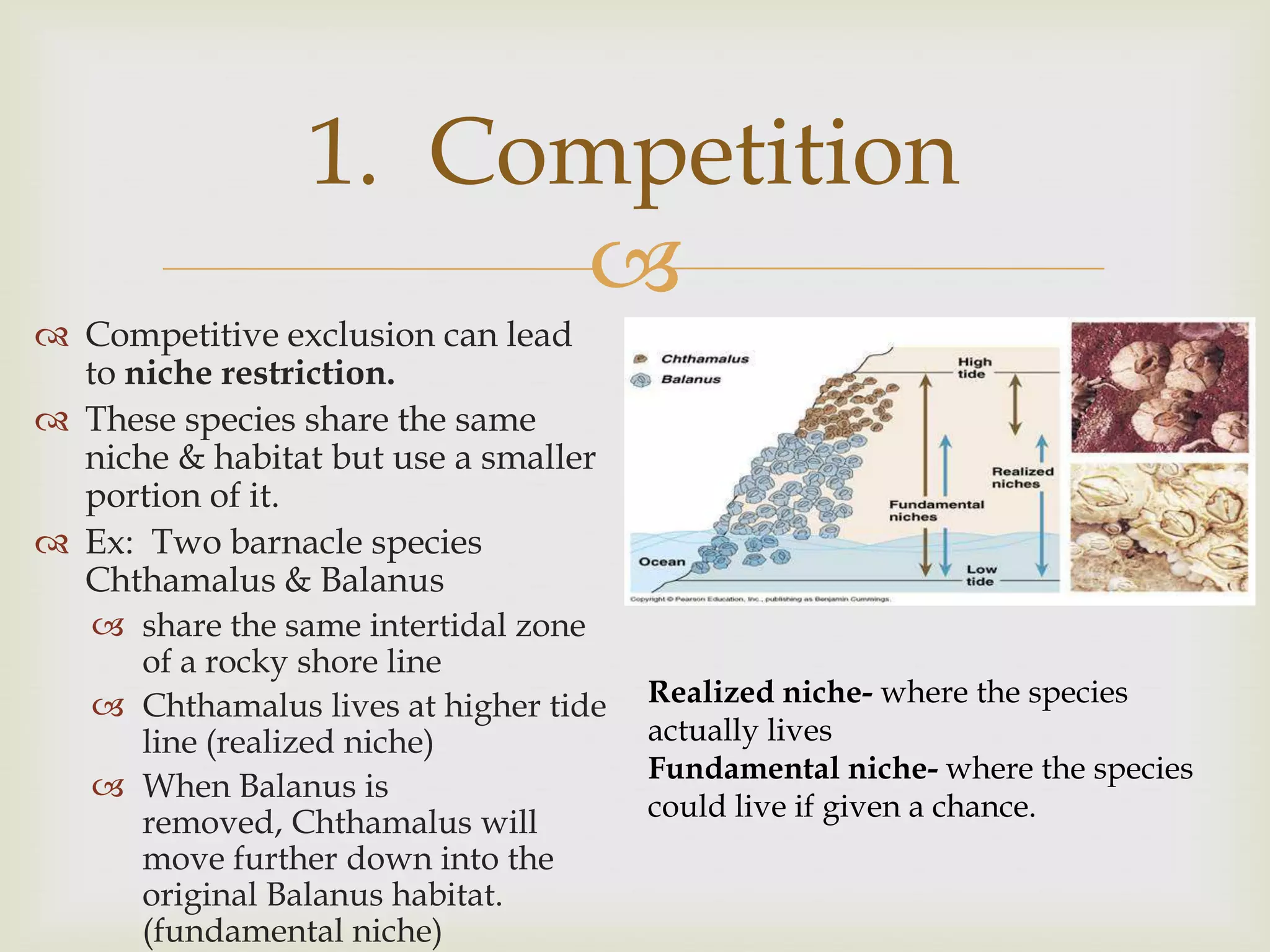 Unit 3 a ch 8 s2 how species interact with each other | PPTX | Reptiles ...