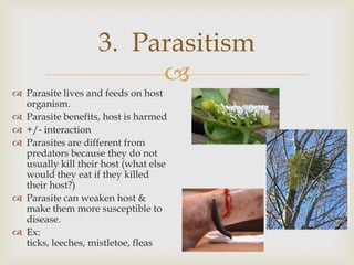 Unit 3 a ch 8 s2 how species interact with each other | PPTX