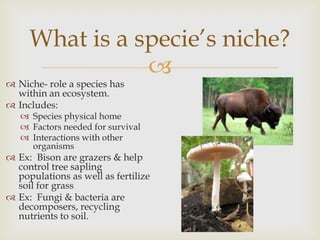 Unit 3 a ch 8 s2 how species interact with each other | PPTX | Reptiles ...