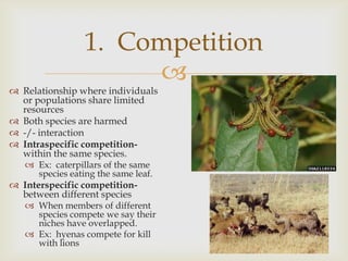 Unit 3 a ch 8 s2 how species interact with each other | PPTX | Reptiles ...