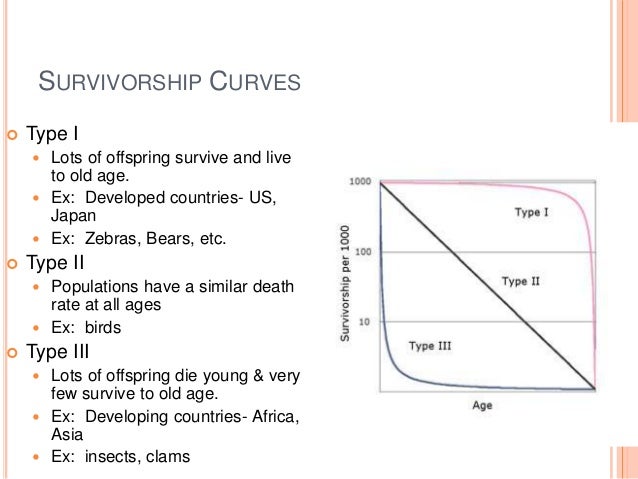 Type 3 survivorship curve - whizulsd
