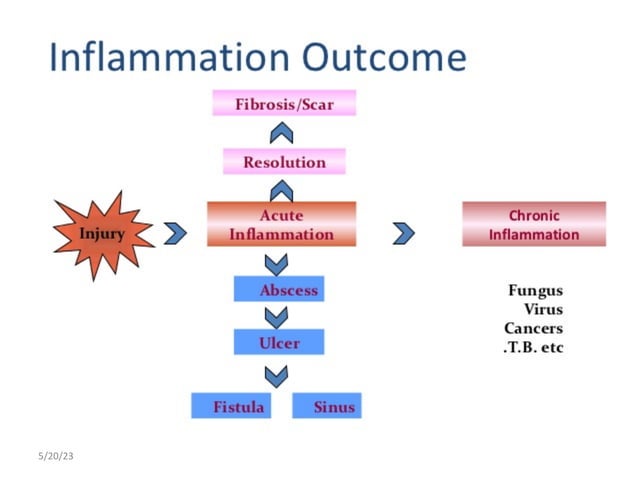 unit 3 Acute & Chronic Inflammation (1).pdf