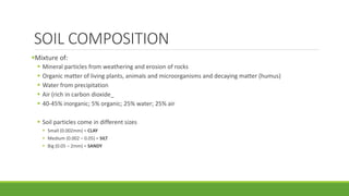 unit 3 Agriculture Lesson 1.pptx Section 3.1 | PPTX