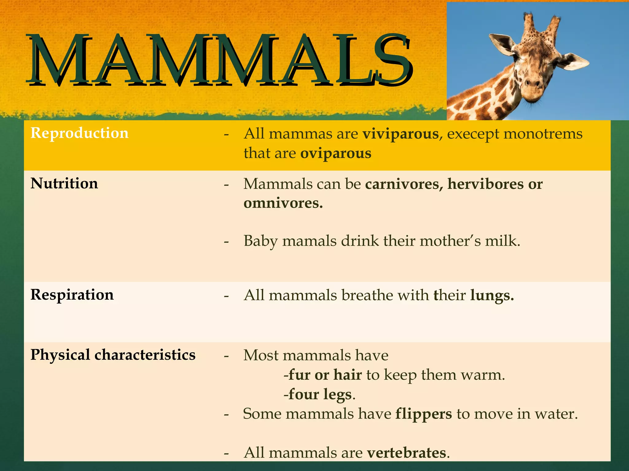 Unit 3 animal kindgdom | PPT