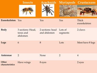 Unit 3 animal kindgdom | PPT