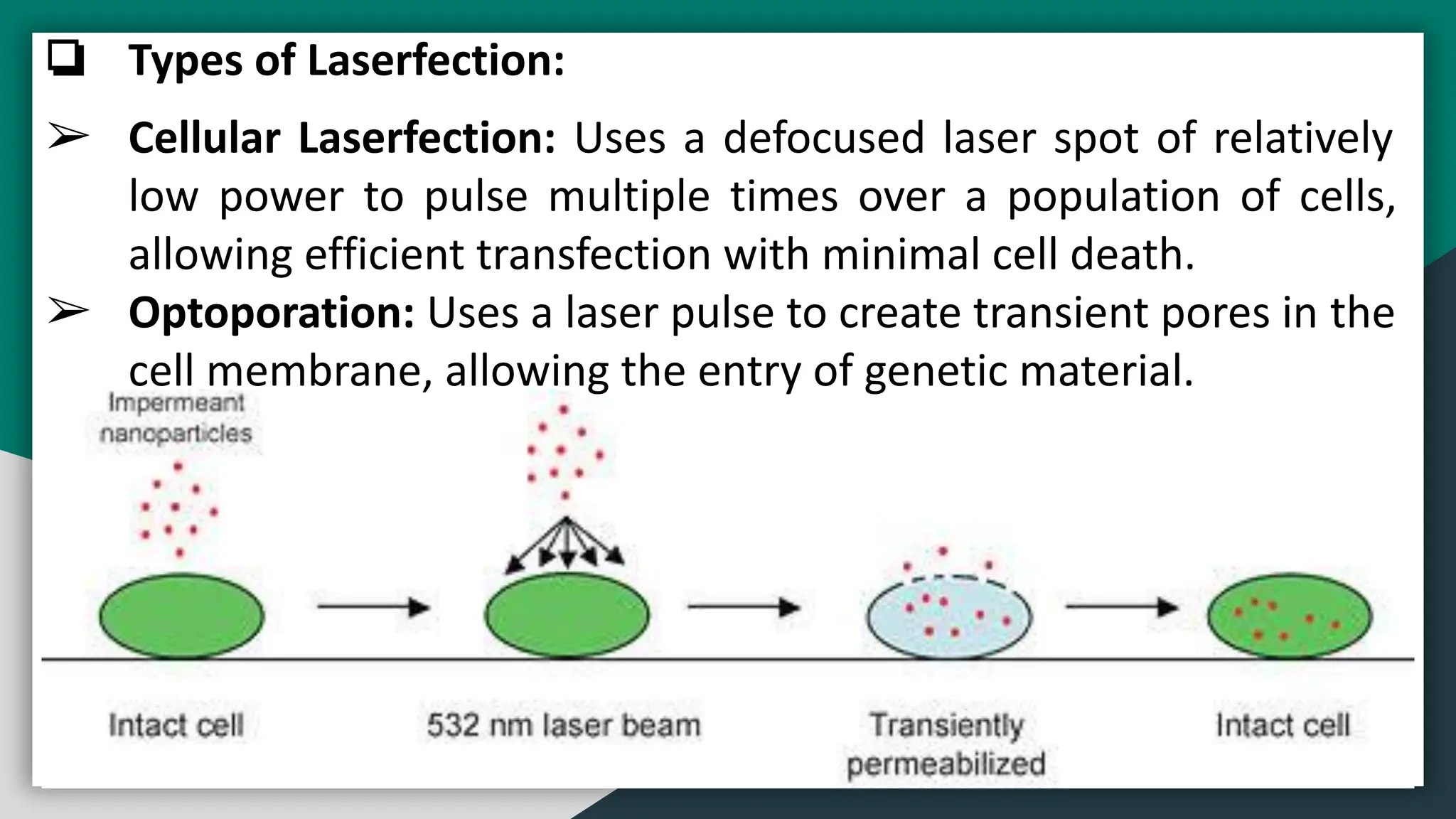 Physical Method of Transfection are described.pdf