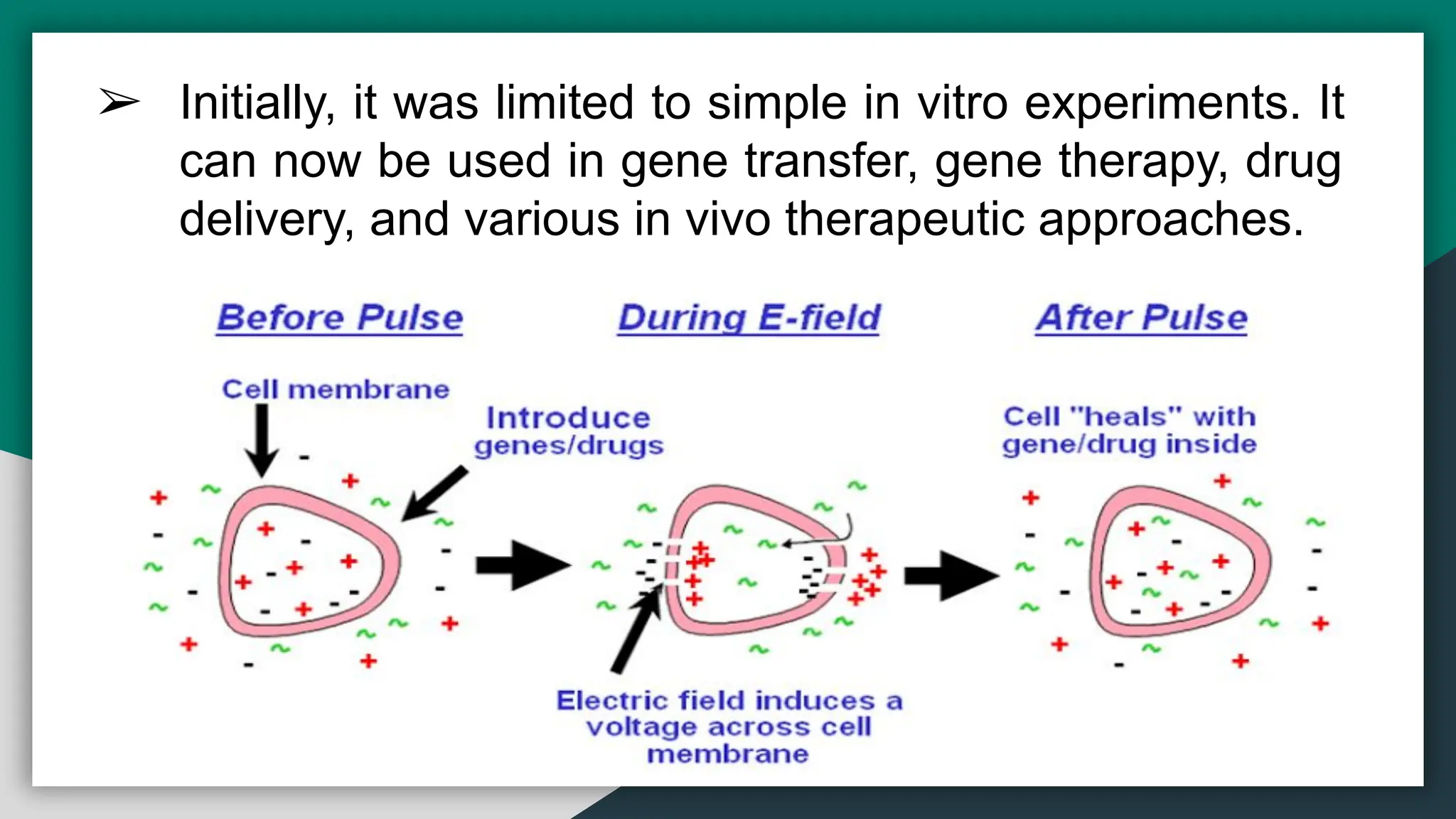 Physical Method of Transfection are described.pdf