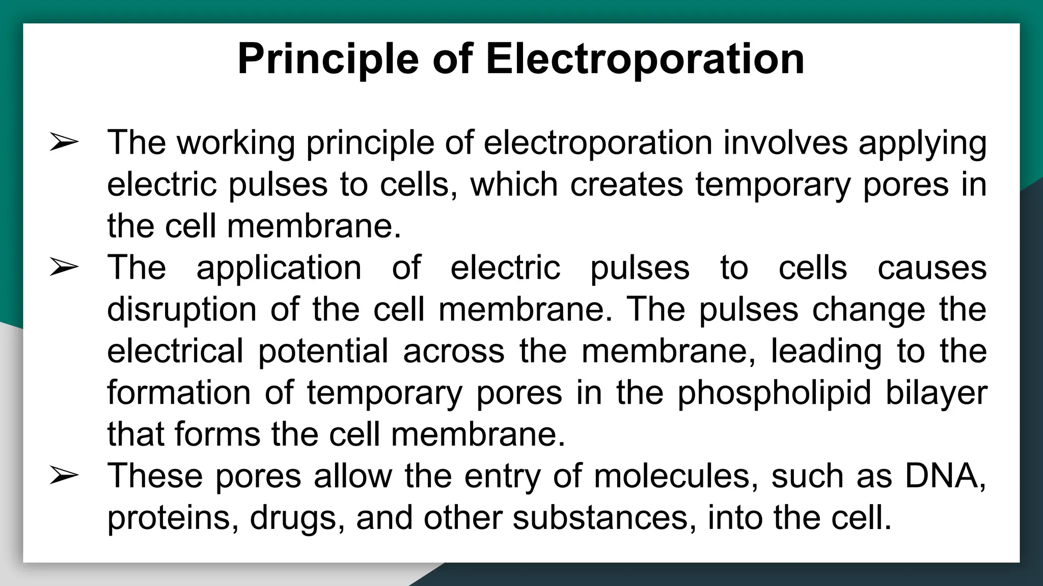 Physical Method of Transfection are described.pdf
