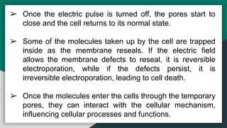 Physical Method of Transfection are described.pdf