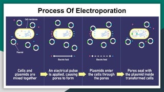 Physical Method of Transfection are described.pdf