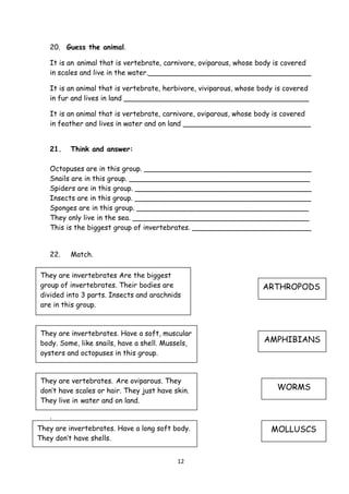 Unit 3 animals | PDF