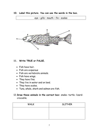 Unit 3 animals | PDF | Birds | Pets