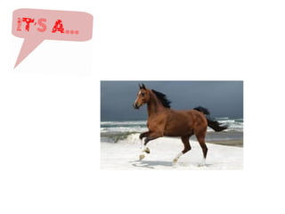 Unit 3 FARM ANIMALS | PDF