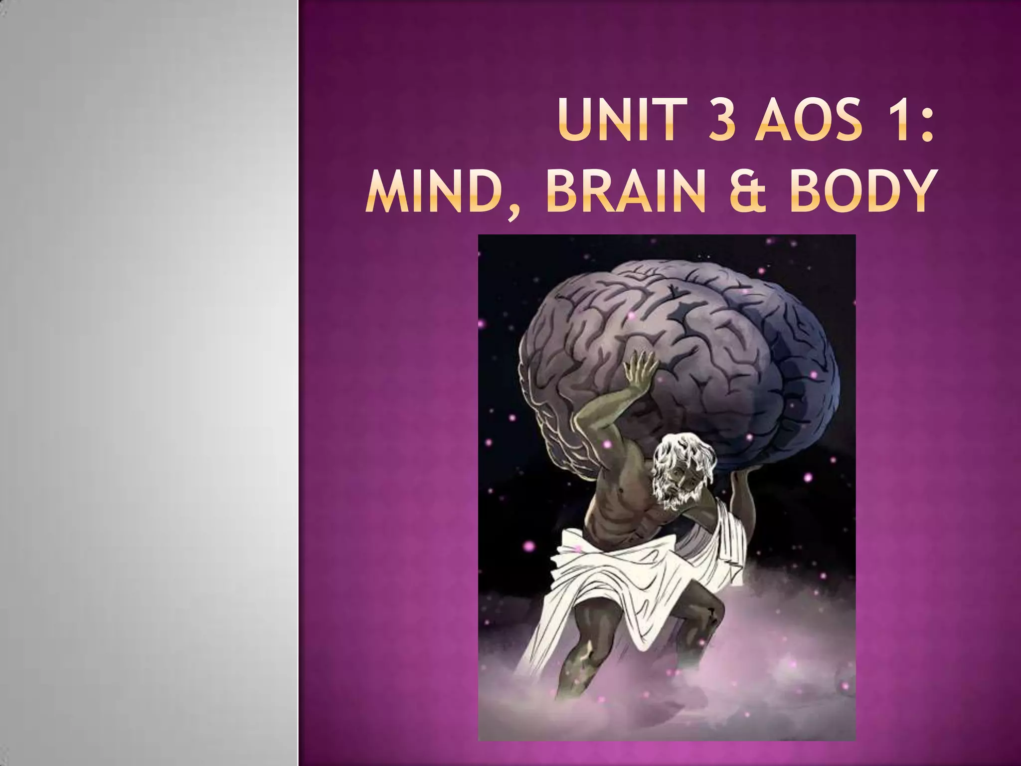 Unit 3 Mind, Brain & Body Revision | PPTX