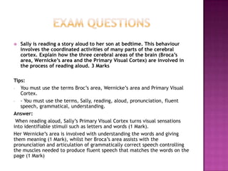 Unit 3 Mind, Brain & Body Revision | PPTX