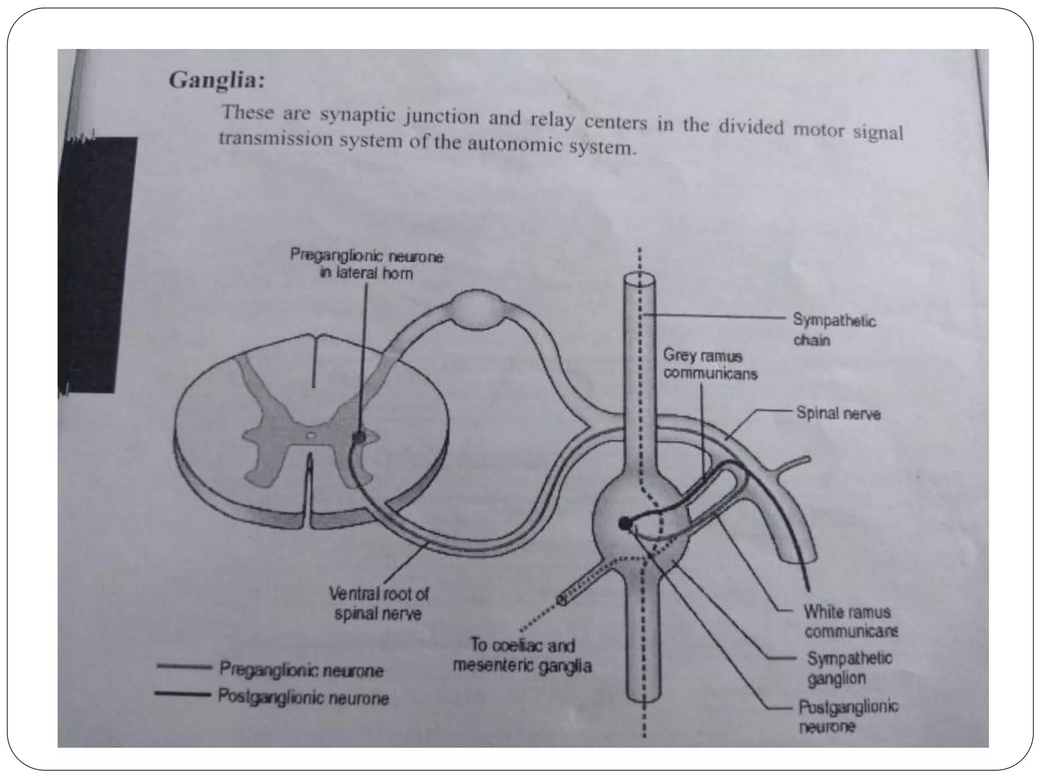 Unit 3 autonomic nervous system | PPT