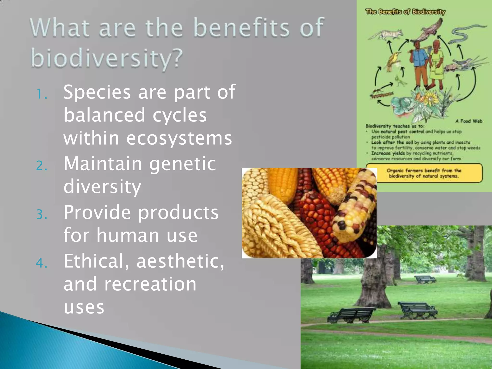 Unit 3 b ch 10 s1 what is biodiversity | PPTX