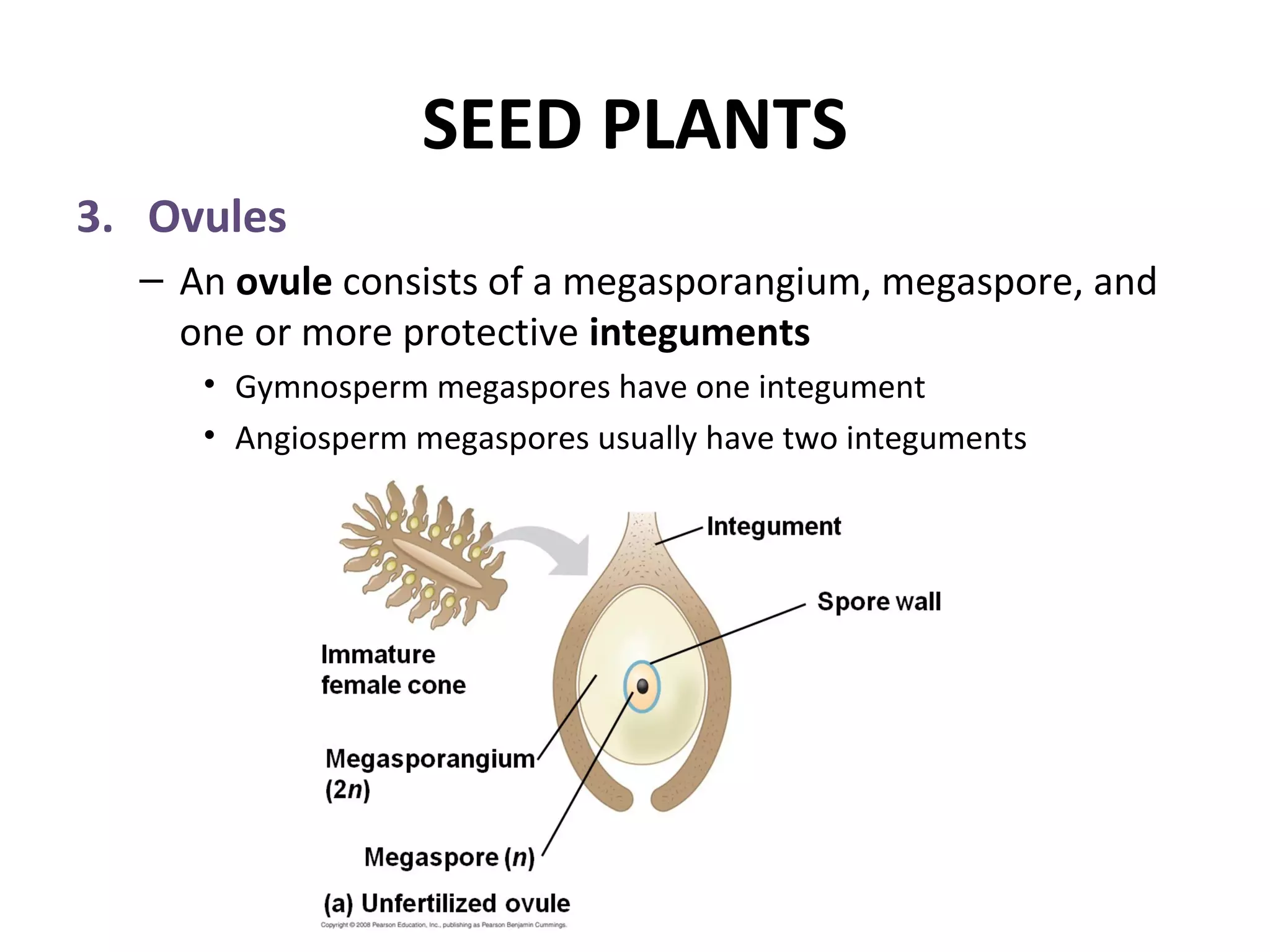biodiversity of plants | PPT