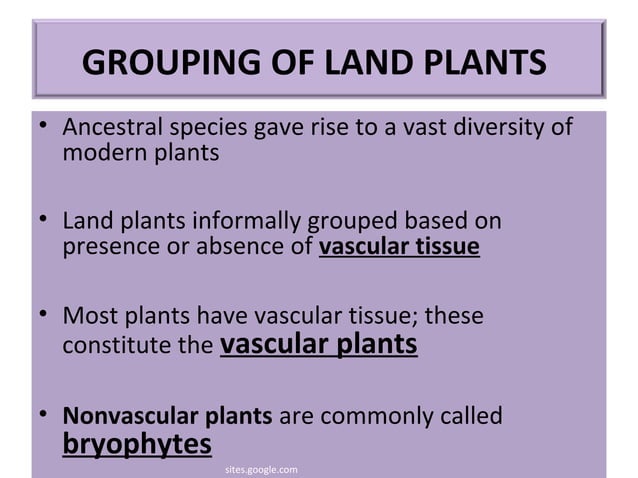 biodiversity of plants | PPT