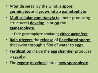 Unit 3 biodiversity of plants new | PPT