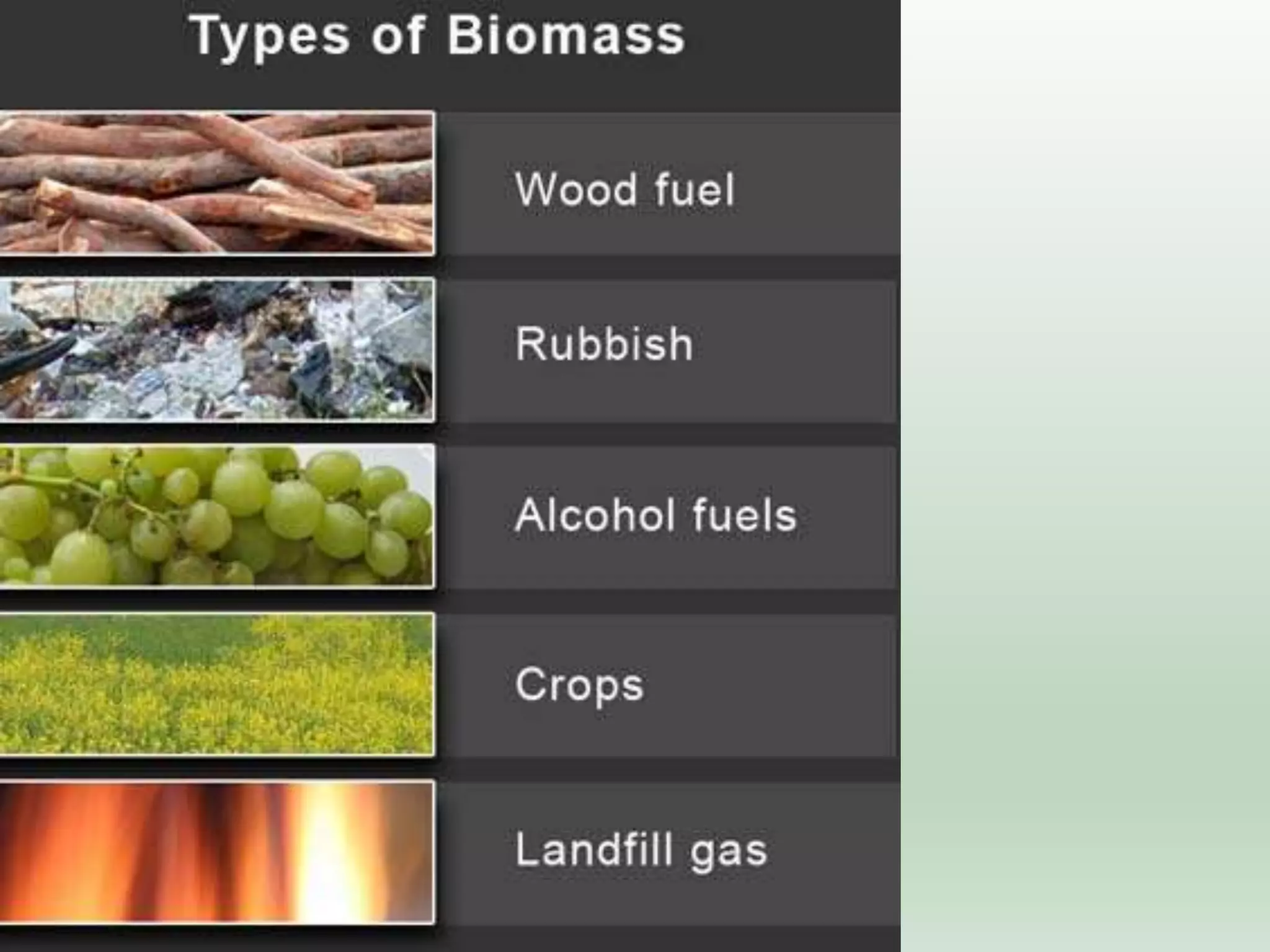 Unit 3 Biomass PPT_OE.ppt