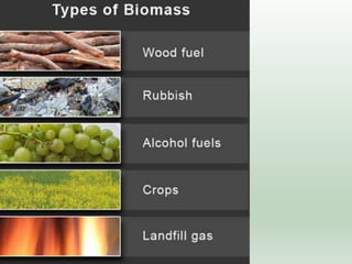 Unit 3 Biomass PPT_OE.ppt