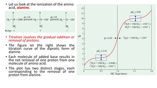Unit 3 Biomolecules - Proteins I (1).pptx